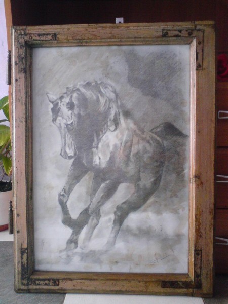 Cal salbatic. Tablou de Stanciu Marius