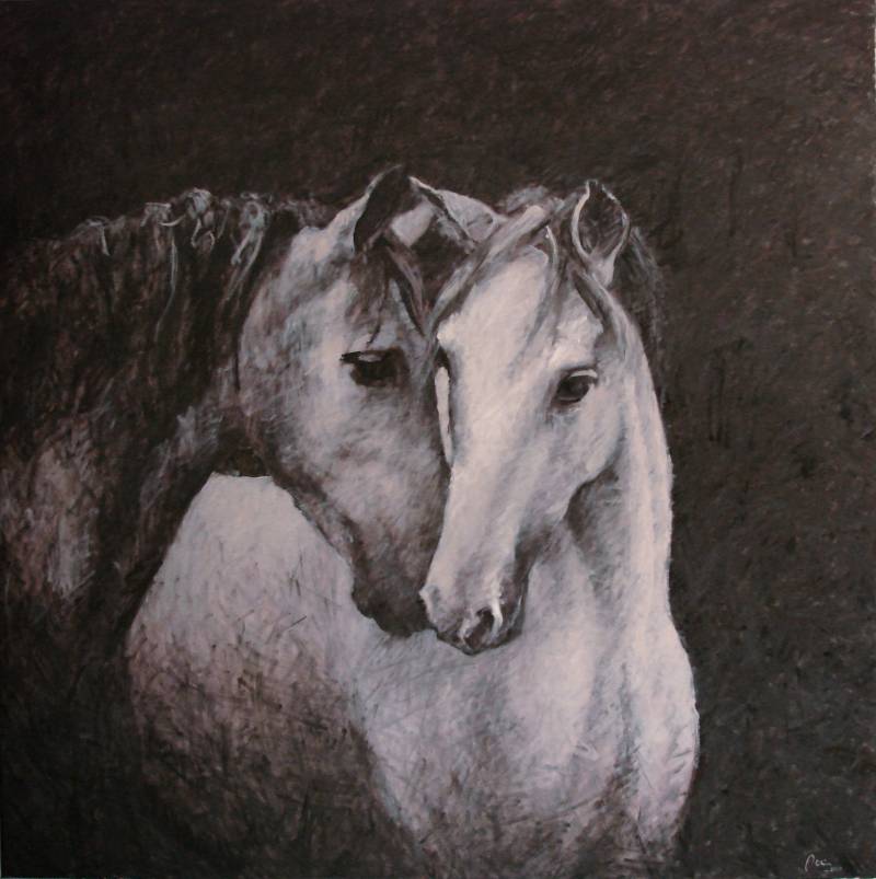 Contraste. Tablou de doru cristian deliu